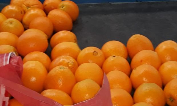 Naranja de Egipto o correntina: los precios y qué eligen los ...
