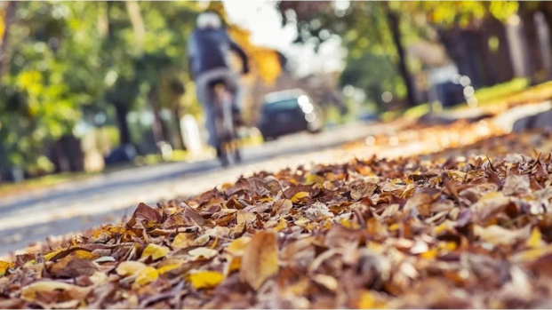 Se produjo el equinoccio y ya llegó el otoño a Argentina: ¿por qué se ...