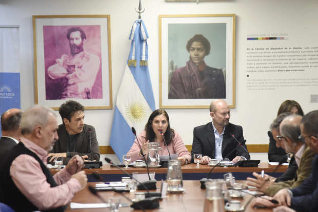 Nueva ronda de expositores sobre la problemática en relación a la ...